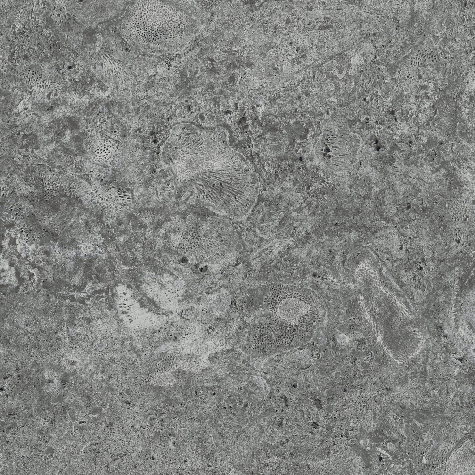 Coral Nero - Savannah Stone Source